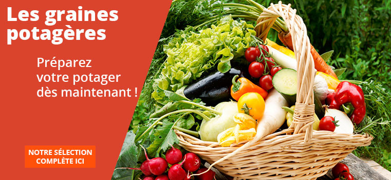 Pépinières Jacques Briant - Pépinières Jacques Briant