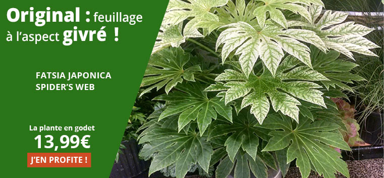 Pépinières Jacques Briant - Pépinières Jacques Briant