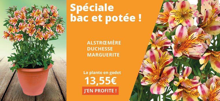 Pépinières Jacques Briant - Pépinières Jacques Briant